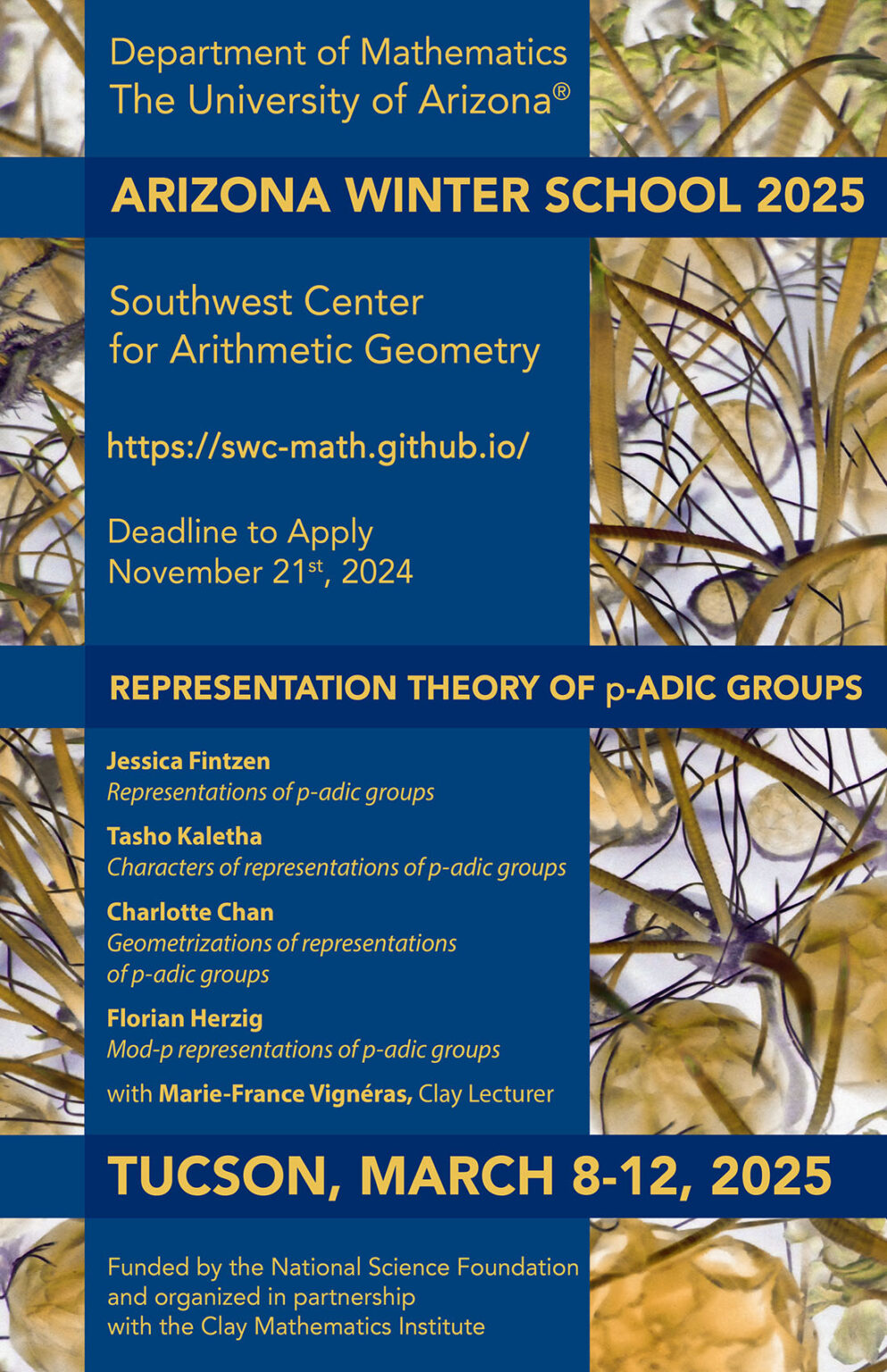 Arizona Winter School 2025 - Clay Mathematics Institute